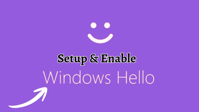 How to Enable Windows Hello Face and Fingerprint Sign-in in Windows 11?