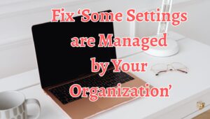 Fix ‘Some Settings are Managed by Your Organization’ on Windows 11 or 10