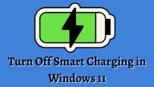 How to Turn Off Smart Charging in Windows 11? [Easy Steps]